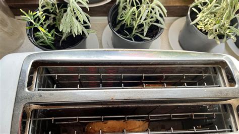 Image result for Toaster Noises