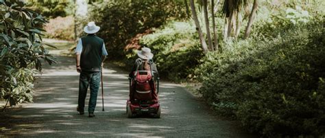 Image result for PIP Mobility