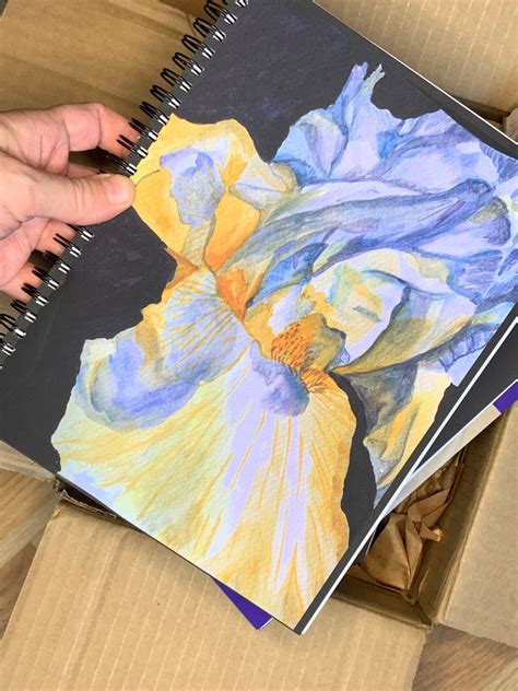 Image result for Sheltie Spring Pictures