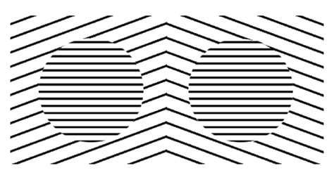 Image result for Shape Distortion