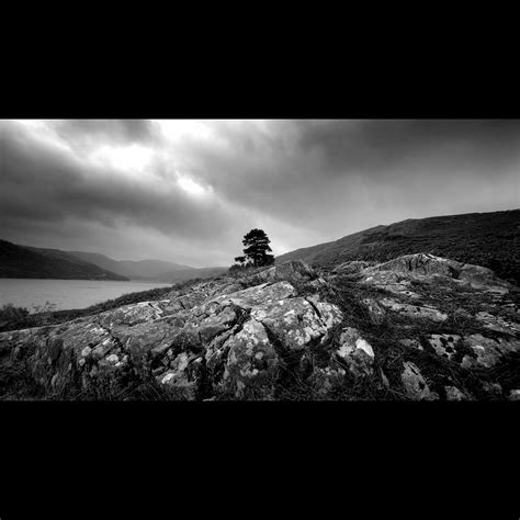 Image result for Low Angle Photography Examples