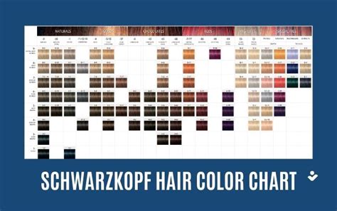 Image result for Hair Color Chart