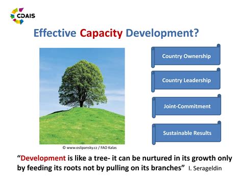 Image result for Capacity Definition