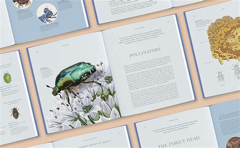 Image result for Project Science Insects Book Cover