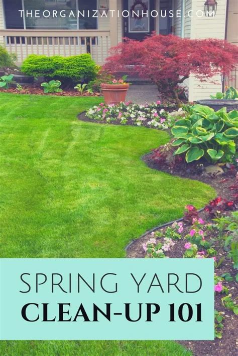 Image result for Spring Yard Clean Up Pruning