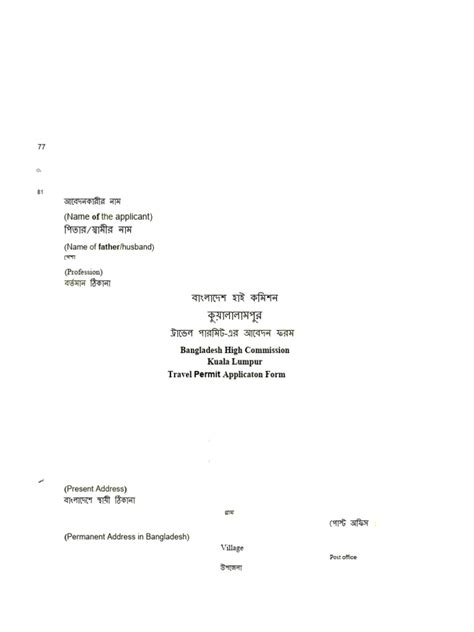 Image result for Entry Permit Application Form