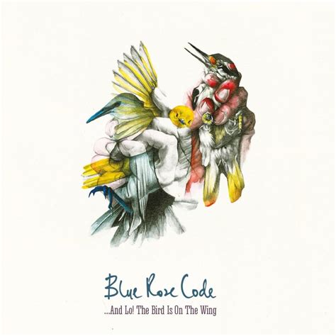 Image result for Blue Rose Code Edina