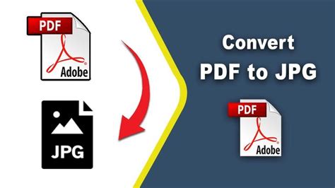 Image result for Adobe PDF Image