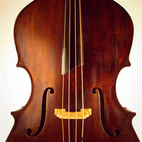 Image result for One String Double Bass