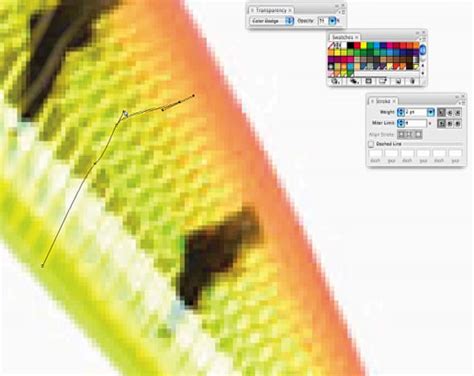 Image result for Gradient Mesh Tool Illustrator