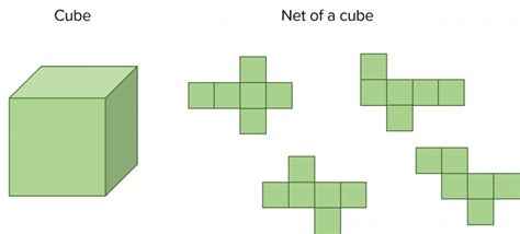 Image result for Cuboid Net Shape