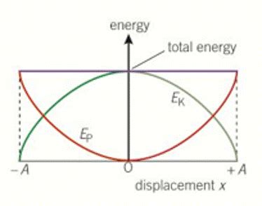 Image result for Vertical Spring SHM Energy Graph