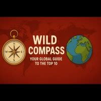 Image result for Compass YouTuber