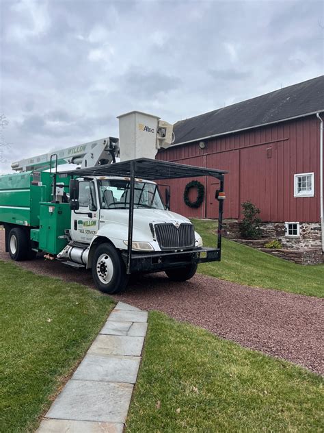 Image result for Pear Tree Rust Treatment