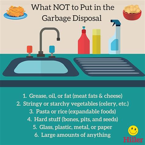 Image result for Garbage Disposal Clean Out