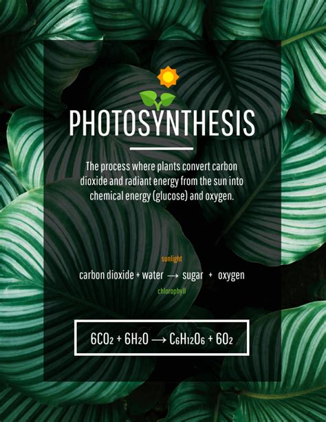 Image result for Recap Poster Picture Layout