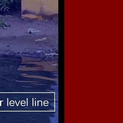 Image result for How to Read a Line Level