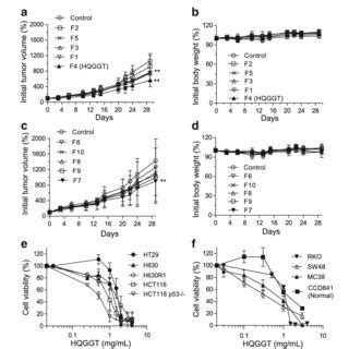 Image result for Colon Channel TCM