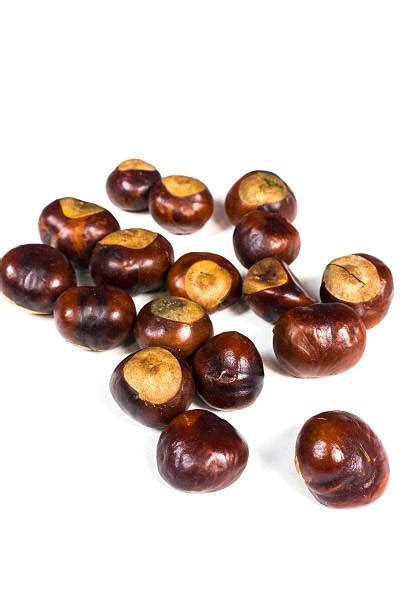 Image result for October Beans