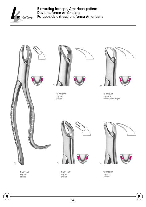 Image result for Extracting Forceps