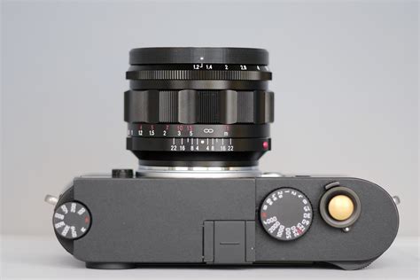 Image result for Mount Protector