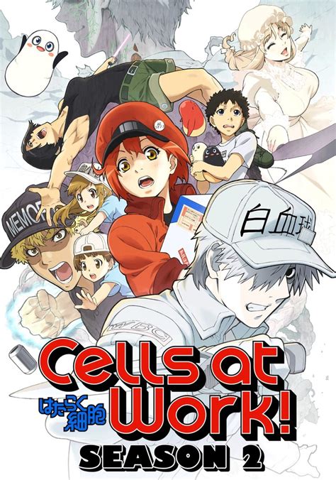 Image result for Cells at Work Net TV