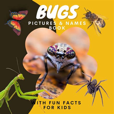 Image result for Insects and Names