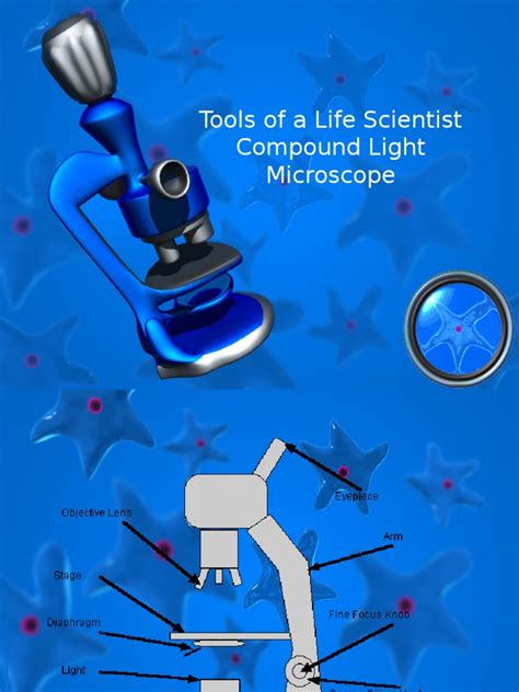 Image result for Scientific Microscope