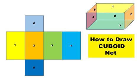 Image result for Cuboid Net Shape