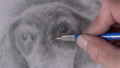 Image result for Drawing with Powdered Graphite