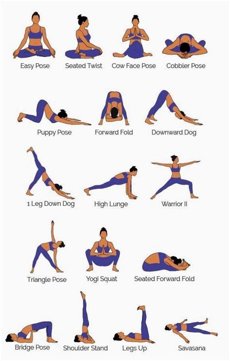Image result for Exercise Positions