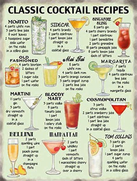 Image result for Cocktail Basics