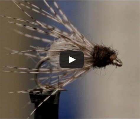 Image result for Caddies Emerger Fly Pattern