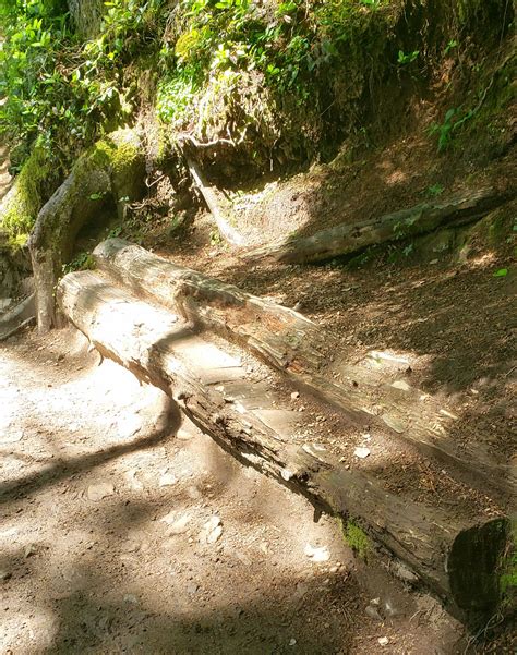 Image result for Split Log Bench