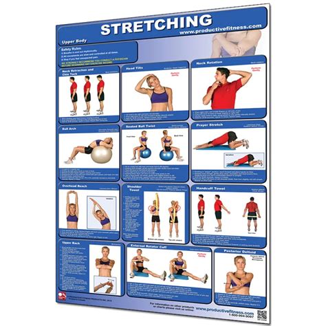 Image result for Stretching Exercise Chart