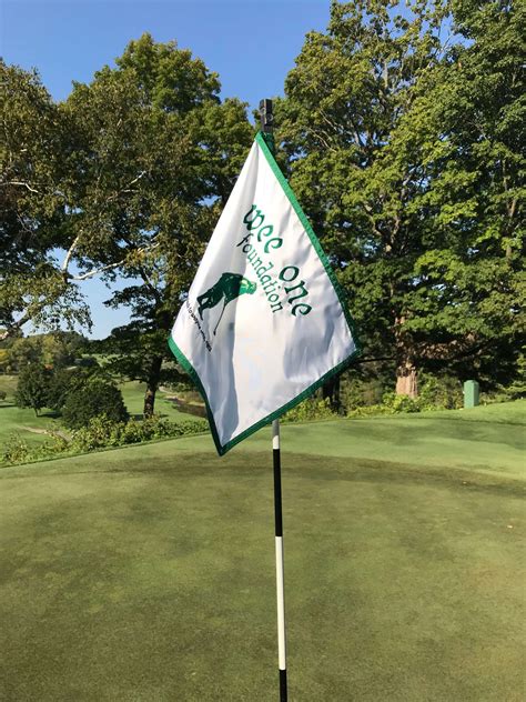 Image result for Golf Course Flags