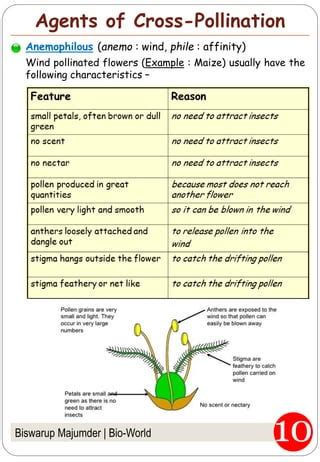 Image result for Examples of Self Pollination
