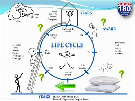 Image result for Example of a Life Cycle