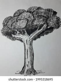 Image result for How to Draw a Tree in Hatching