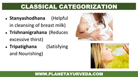 Image result for Classical Approach of Categorization