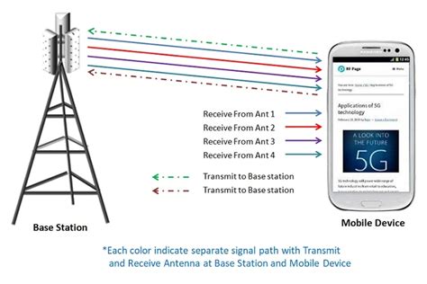 Image result for Finding Mimo