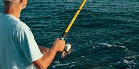 Image result for Fish Rod Cast Out