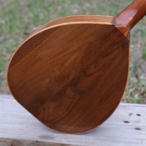 Image result for Nylon String Mandolin