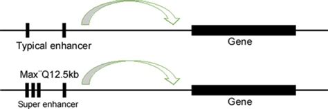 Image result for Super-Enhancer