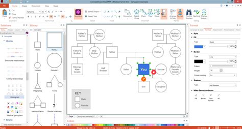 Image result for How to Develop a Genogram