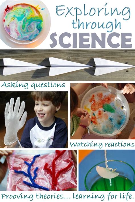Image result for Science Projects Homemade Easy