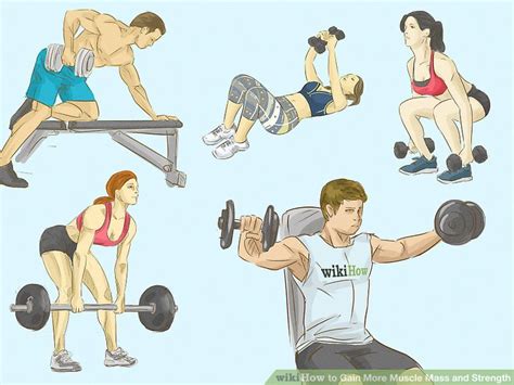 Image result for Adding Muscle Mass