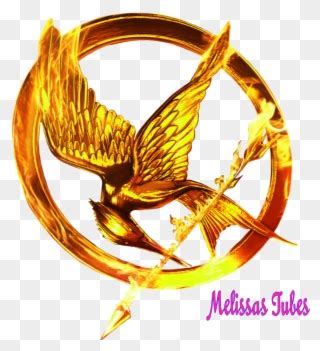 Image result for Mockingjay Pin Hunger Games Symbol