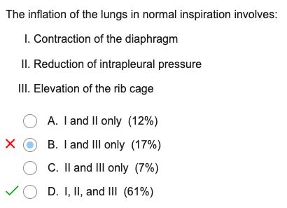 Image result for Intrapulmonary Air Space