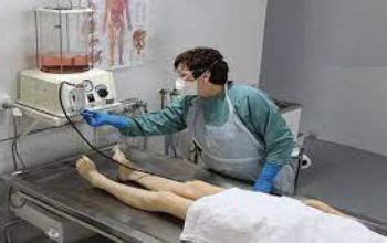 Image result for Watch a Human Embalming